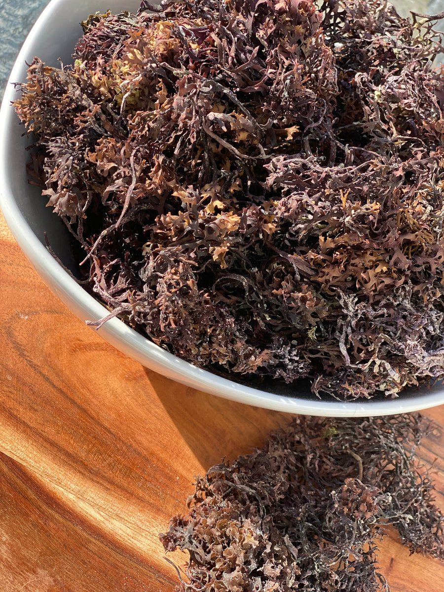 Chondrus Crispus Gel – Atlanta Sea Moss Market
